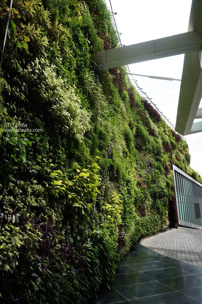 Bio Wall in India: Expertly Developed Green Wall Systems