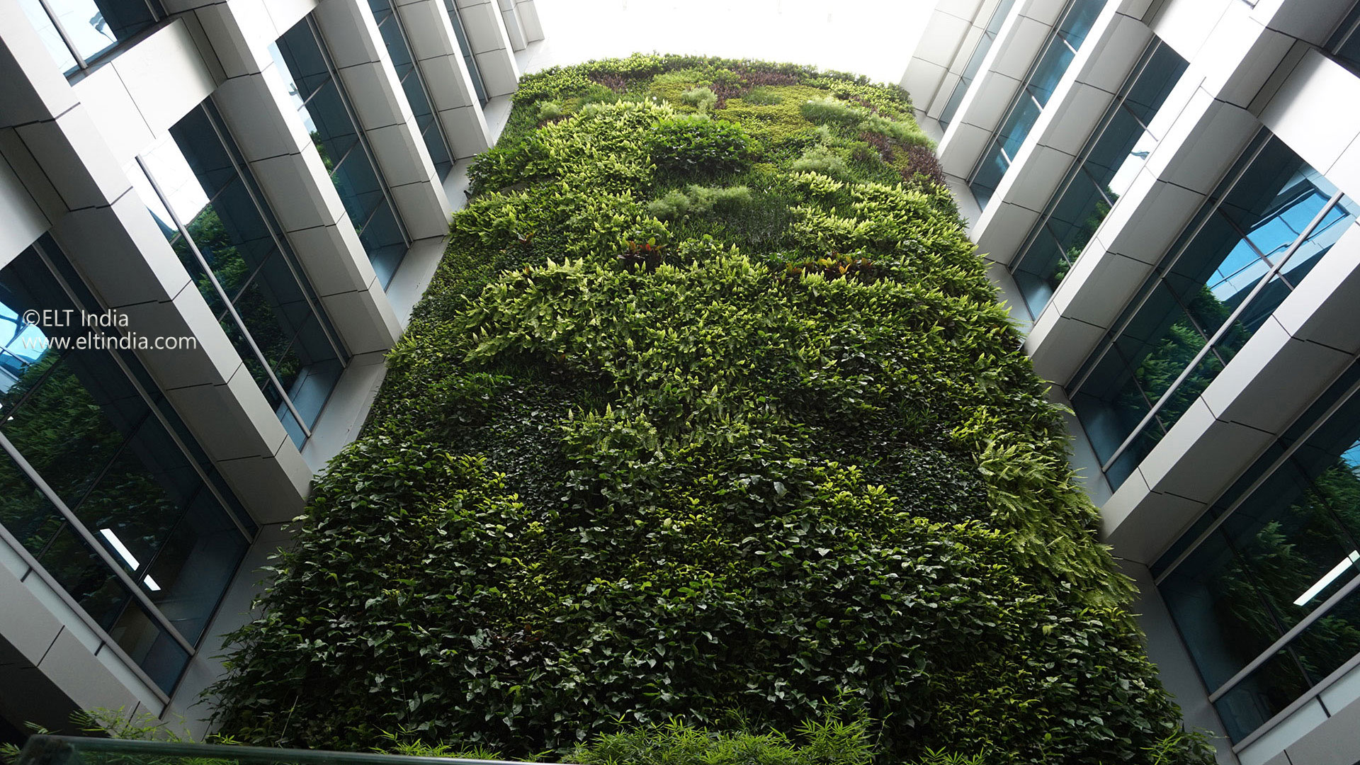 India's Most Innovative Vertical Garden Company | ELT India