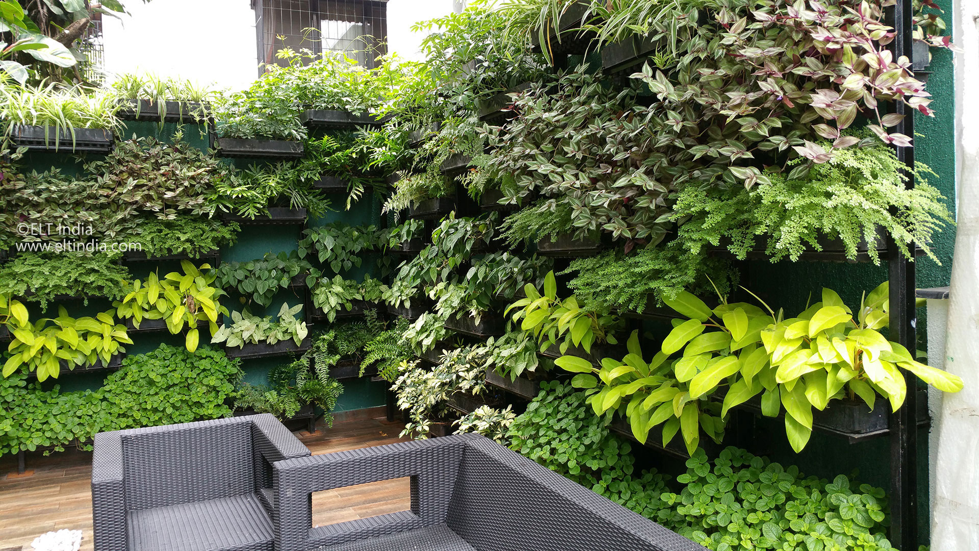 India's Most Innovative Vertical Garden Company | ELT India
