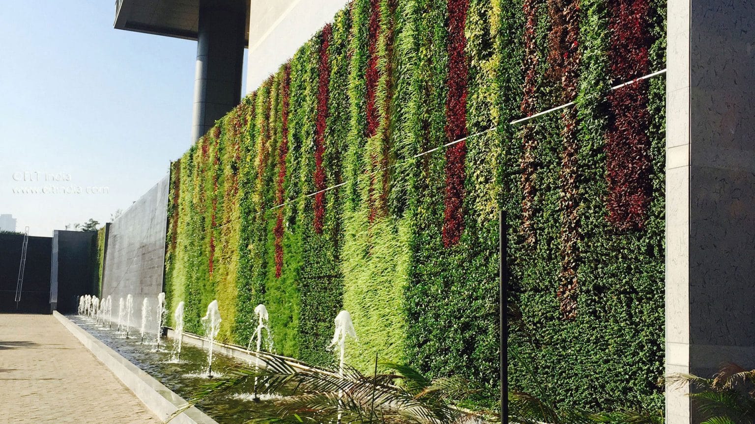 India's Most Innovative Vertical Garden Company | ELT India