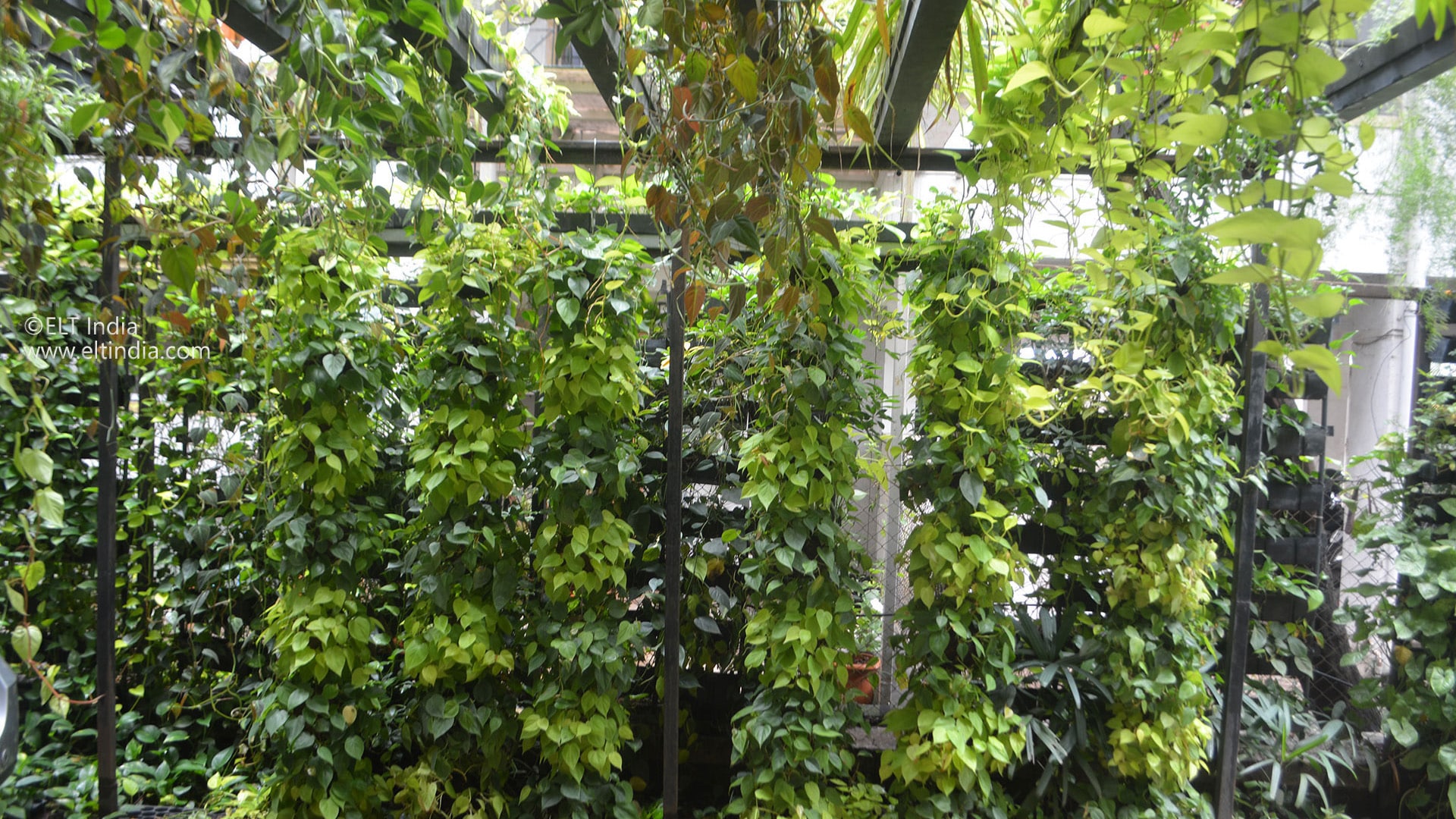 India's Most Innovative Vertical Garden Company | ELT India