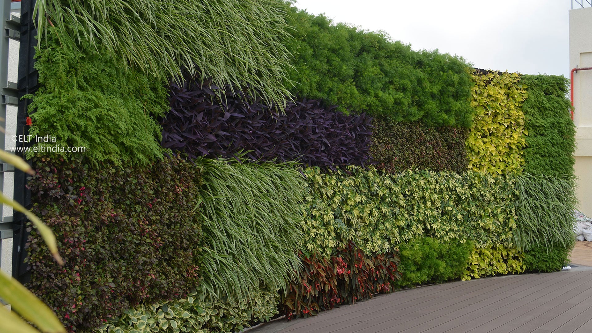 India's Most Innovative Vertical Garden Company | ELT India