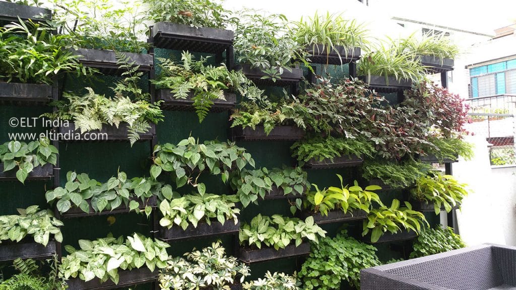 Vertical Garden Systems - ELT - EcoGreen Landscape Technologies