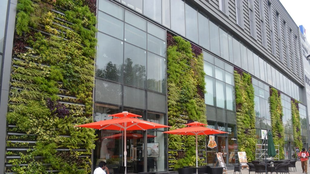 India's Most Innovative Vertical Garden Company | ELT India